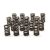 GM Performance 604 Crate Valve Springs – Performance Motorsports